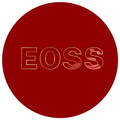 Pernia's Pop Up Shop: Luxury Designer Ethnic Clothing Website 2025