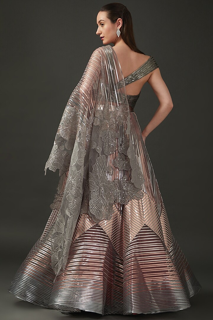 Blush & Silver Tulle Structured Lehenga Set Design by Amit Aggarwal at ...
