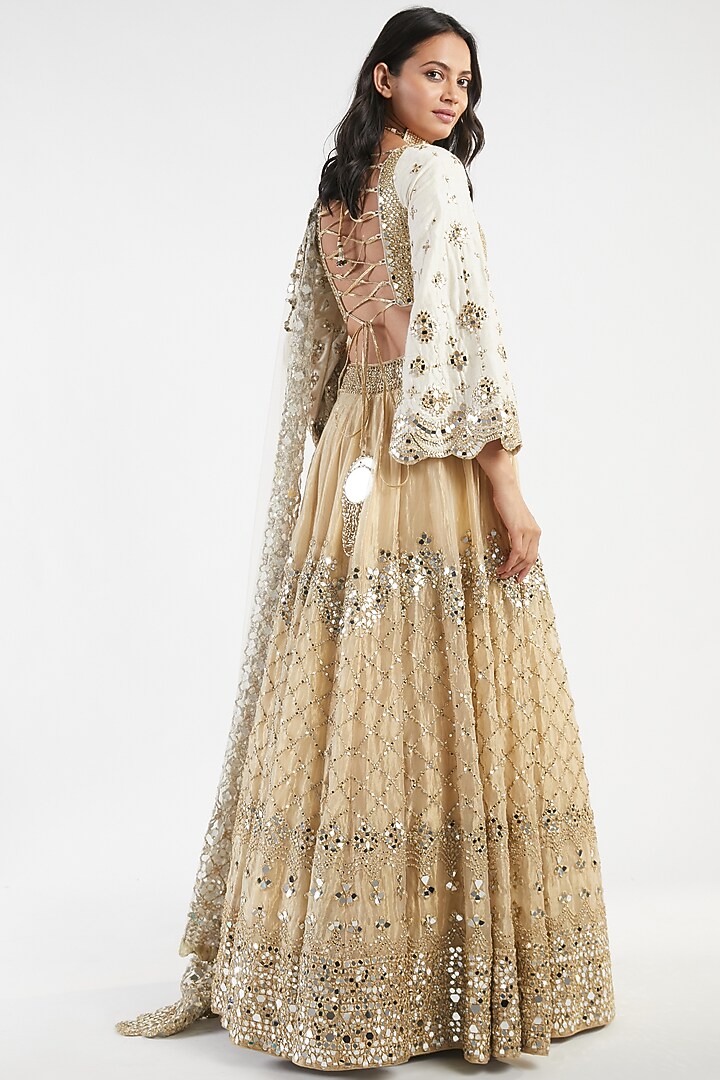 Gold Zari Hand Embroidered Bridal Lehenga Set by Abhinav Mishra at ...