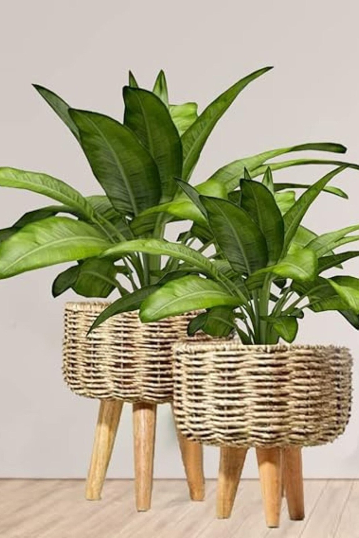 Brown Jute Planters (Set of 2) by The Advitya at Pernia's Pop Up Shop 2025