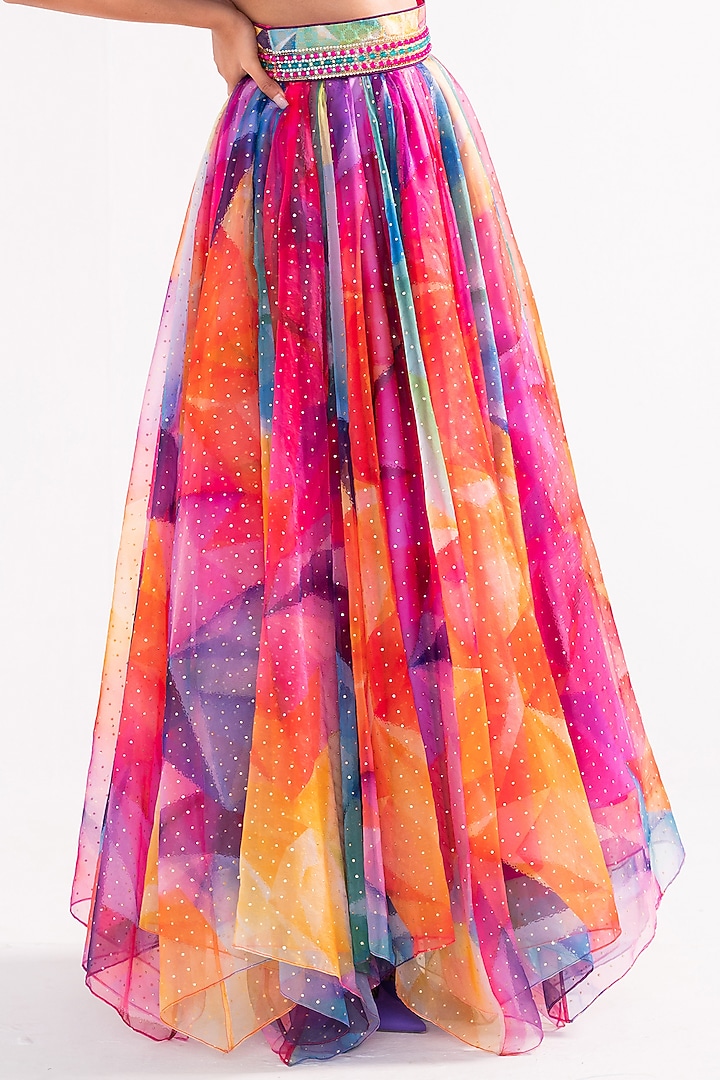Multi-Colored Organza Embroidered & Printed Skirt Set by Cedar and Pine ...