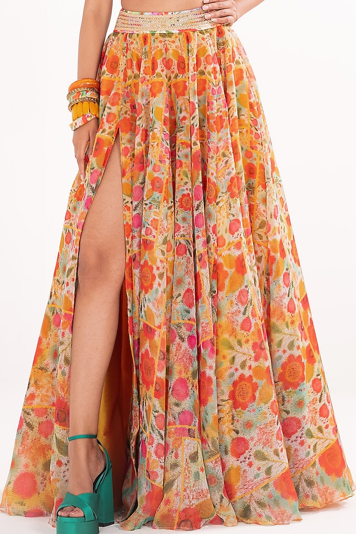 Multi-Colored Organza Embroidered & Printed Skirt Set by Cedar and Pine ...