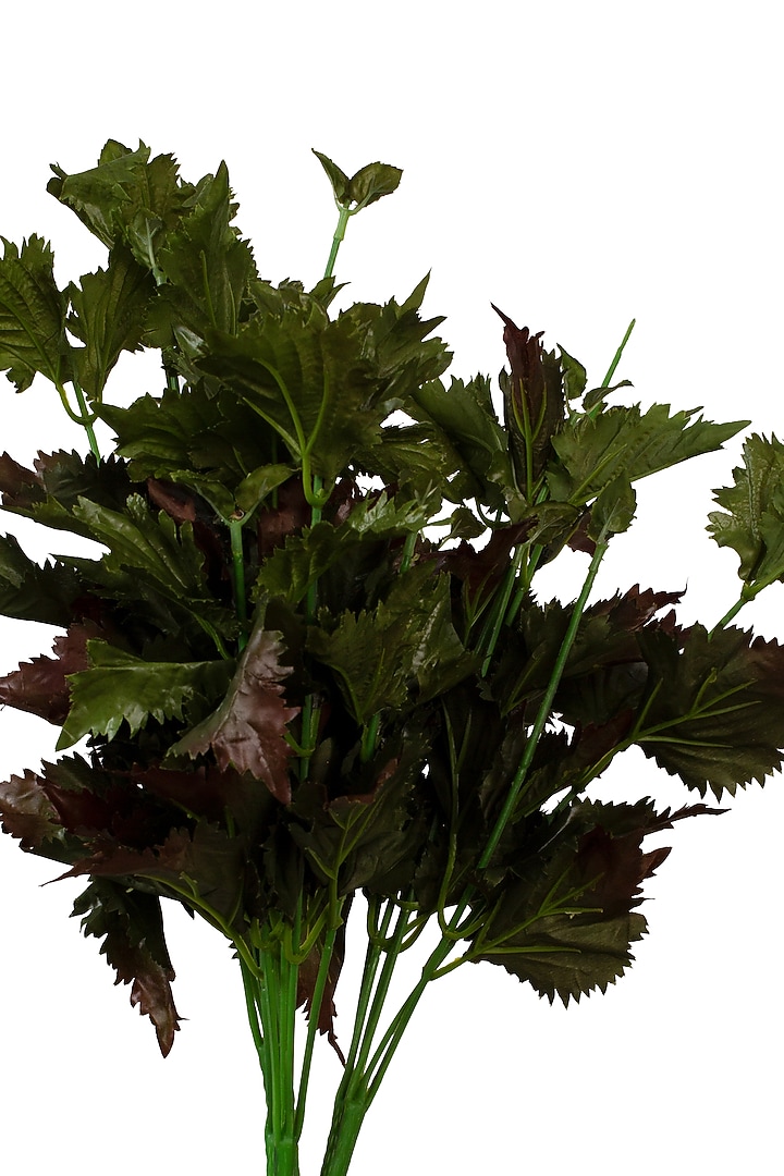 Green Shisho Hub Leaf Bunches (Set of 2) by H2H at Pernia's Pop Up Shop ...