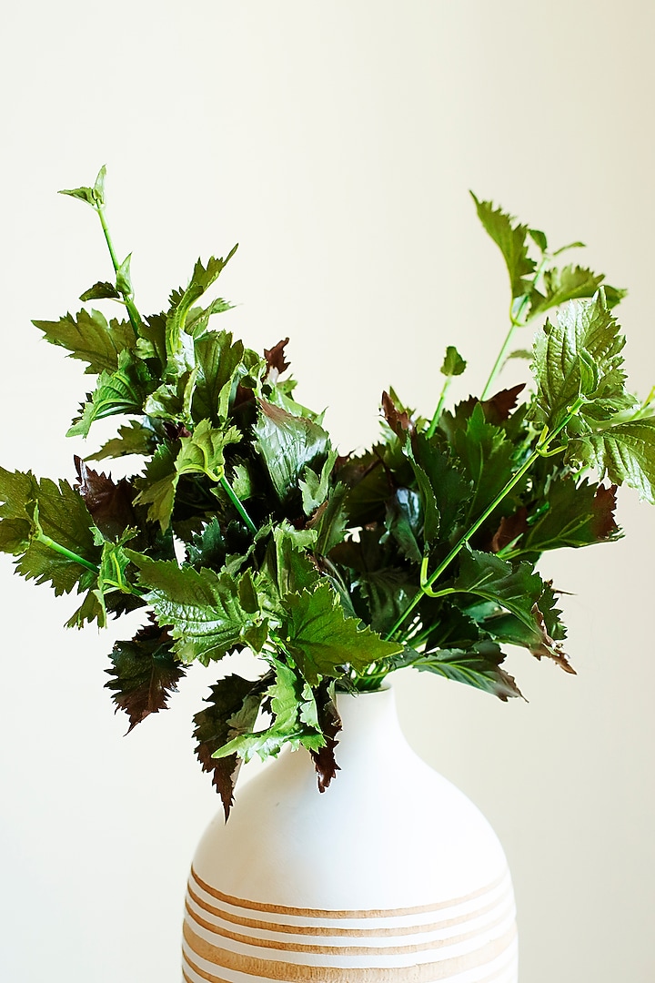 Green Shisho Hub Leaf Bunches (Set of 2) by H2H at Pernia's Pop Up Shop ...