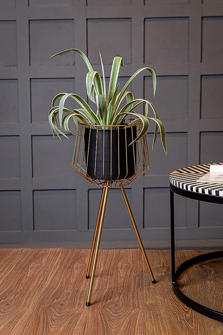 Black & Shiny Gold Mild Steel Planters (Set of 2) by Logam at Pernia's ...