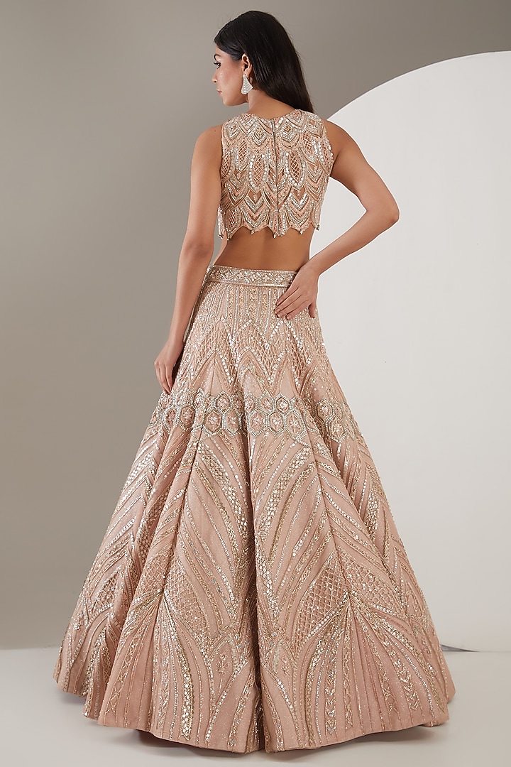 Pink Champagne Shimmer Tulle Hand Embroidered Bridal Lehenga Set by ...