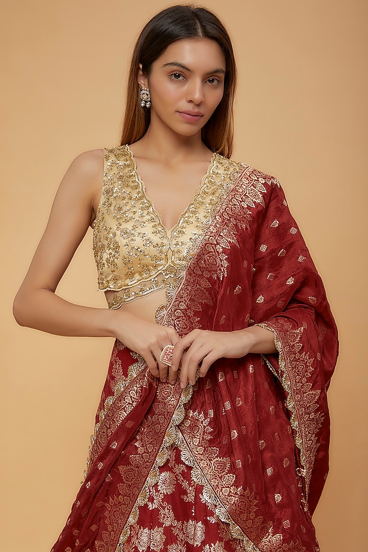 Red Pure Banarasi Wedding Lehenga Set by Neha Mehta Couture at Pernia's ...