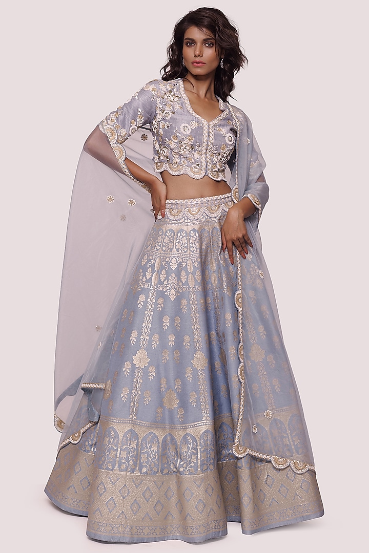 Pastel Blue Chenia Printed & Embellished Wedding Lehenga Set by Onaya ...