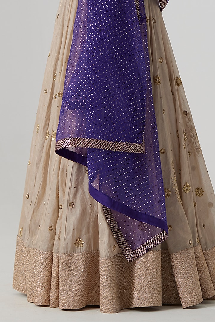 Silver-Gold Banarasi Silk Tissue Aari & Zardosi Hand Embroidered ...