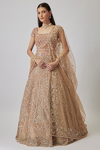 Gold Net Sequins & Crystal Embroidered Wedding Lehenga Set by Shlok ...