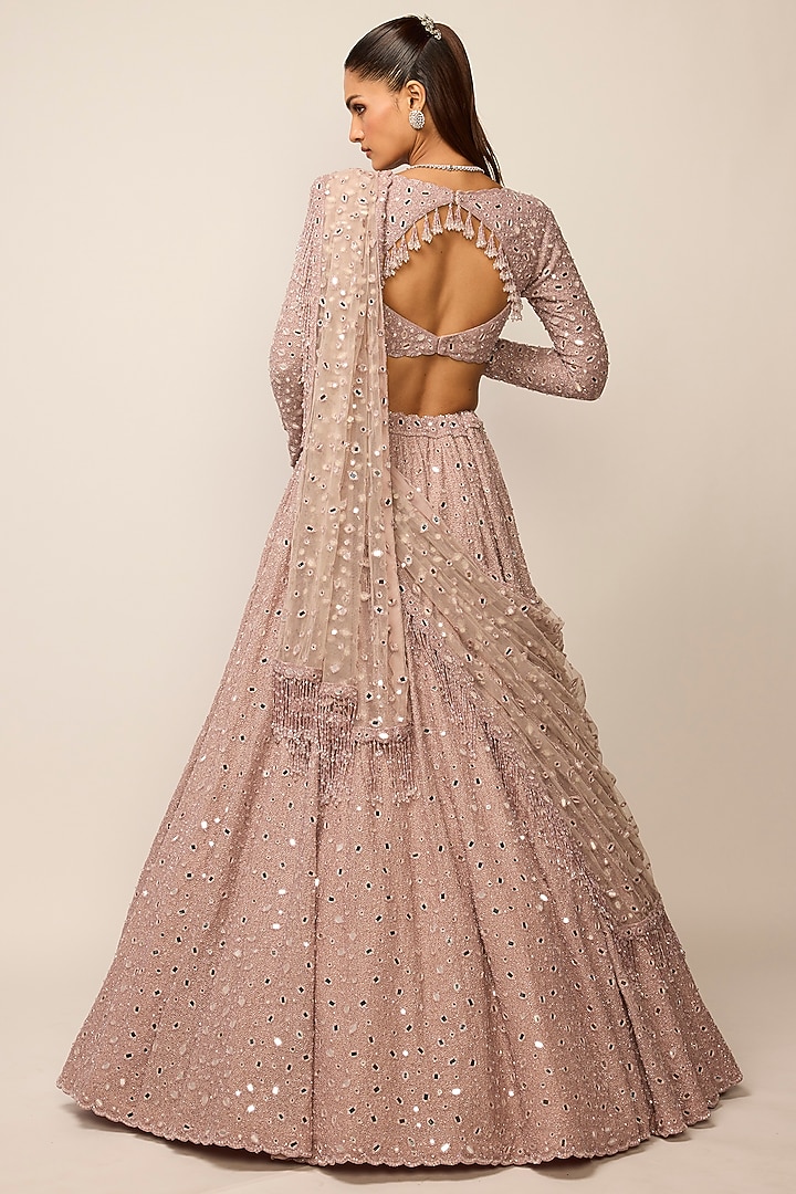 Ash Pink Organza Cutdana Embroidered Bridal Lehenga Set by Vvani by ...