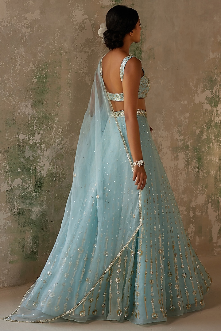 Sky Blue Pure Silk Organza Aari Hand Embroidered Wedding Lehenga Set by ...