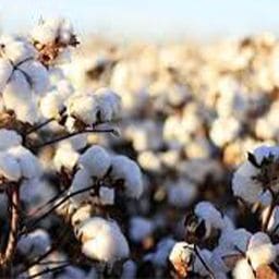 What is Khadi? | Origin & history of Khadi fabric. 2025